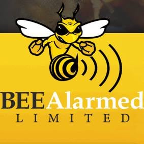 BEE ALARMED - Updated June 2025 - 207 Lattourel, Mountain, Ontario ...