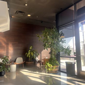 TEA FRESHO - Updated May 2024 - 359 Photos & 96 Reviews - 6140 W ...