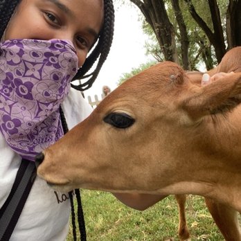 C-ARROW STABLES - Updated December 2025 - 22 Photos & 11 Reviews - 5911 ...