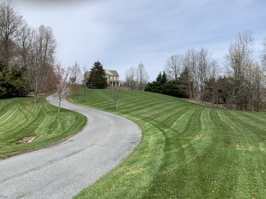 BACKWOODS LANDSCAPE & HARDSCAPE - Updated November 2025 - 43 Photos ...