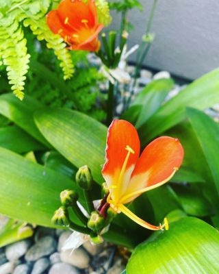 IN-SHAPE FITNESS - Updated October 2025 - 33 Photos & 293 Reviews ...