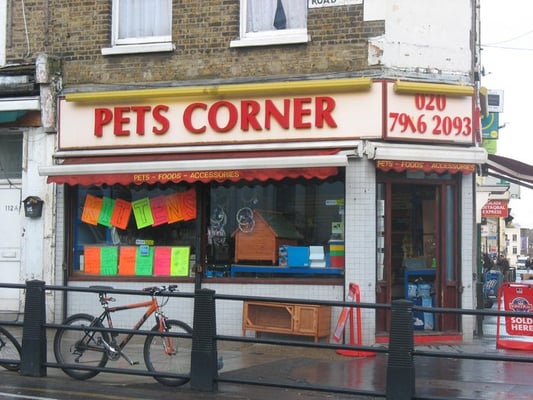 PETS CORNER - Updated September 2024 - 110 Malden Road, London, United ...
