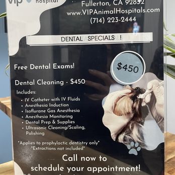 VIP ANIMAL HOSPITAL - Updated January 2025 - 152 Photos & 244 Reviews ...