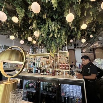 MOTEK CORAL GABLES - Updated September 2025 - 1041 Photos & 403 Reviews ...