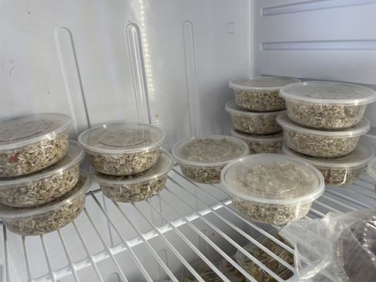 CHODE MART - Updated March 2025 - 50 Photos & 19 Reviews - 125 9th ...