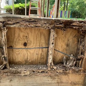 ECOSHIELD PEST SOLUTIONS - Updated August 2024 - 19 Photos & 70 Reviews ...