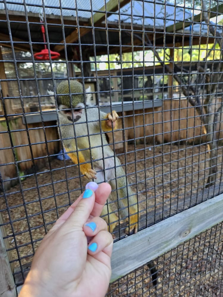 XTREME EXOTICS WILDLIFE FOUNDATION - Updated October 2024 - 32 Photos ...