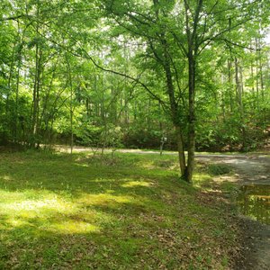 LEGACY DISPOSAL SERVICES - Updated January 2026 - 12 Reviews - Cumming ...