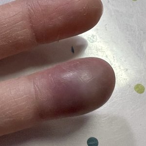 ACTION JACKS FAMILY FUN & ENTERTAINMENT - Updated August 2024 - 25 ...