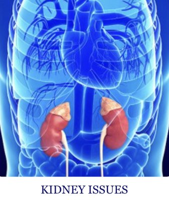 GRIFFITH UROLOGY - Updated October 2025 - 12 Photos - 575 S Wickham Rd, Melbourne, Florida ...