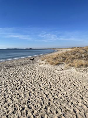 NAPATREE POINT / BEACH - Updated October 2025 - 36 Photos & 14 Reviews ...
