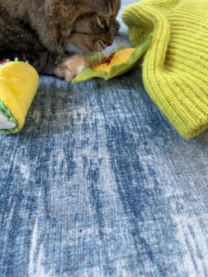 URBAN TAILS PET SUPPLY - Updated August 2025 - 66 Photos & 73 Reviews ...