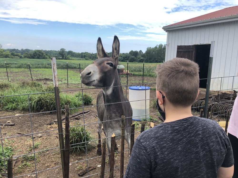 MINK STREET MARKET - 16 Photos - 3740 Mink St SW, Pataskala, OH - Yelp