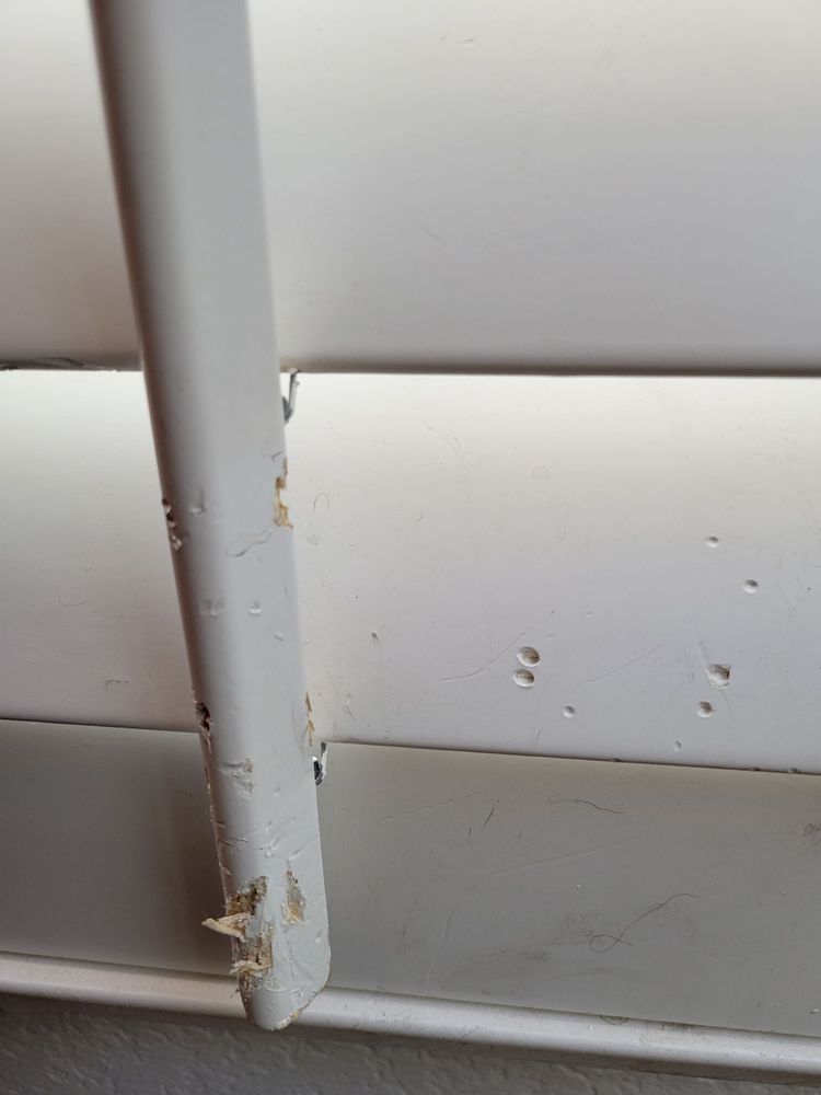 WINDOW SHUTTER REPAIR - Updated October 2025 - 24 Photos & 178 Reviews ...