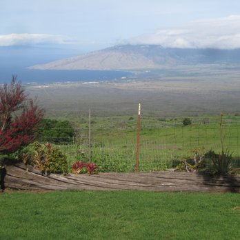 KULA COUNTRY FARMS - Updated May 2025 - 1003 Photos & 132 Reviews ...
