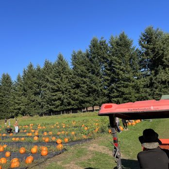 LATTIN’S COUNTRY CIDER MILL AND FARM - Updated October 2024 - 194 ...