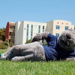 CALIFORNIA STATE UNIVERSITY MONTEREY BAY - 62 Photos & 49 Reviews ...