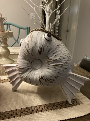 SHELL SHACK - Updated October 2025 - 74 Photos & 43 Reviews - 3800 W ...