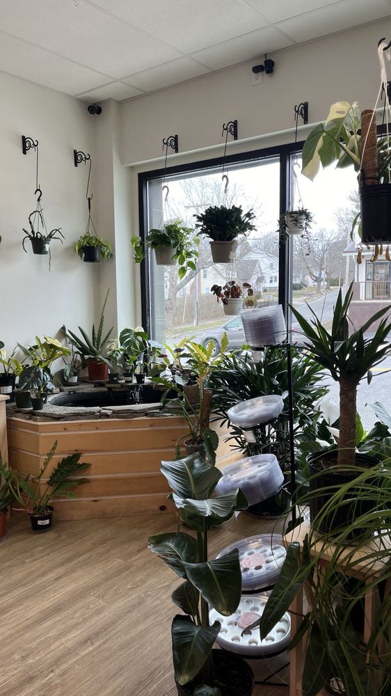 THE PLANT WARD - Updated July 2024 - 1102 Pleasant St, Worcester ...