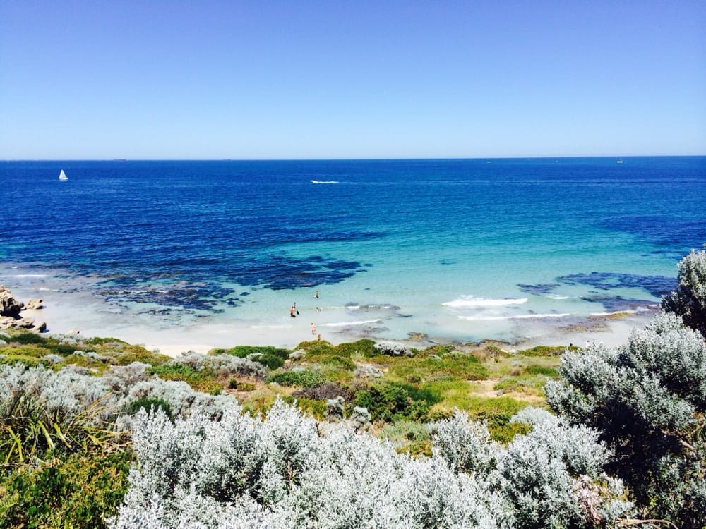 North Beach Dog Beaches - Trusted Since 2013 - Updated July 2025 ...