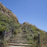 COWELL RANCH BEACH - 535 Photos & 77 Reviews - Beaches - Hwy 1, Half ...