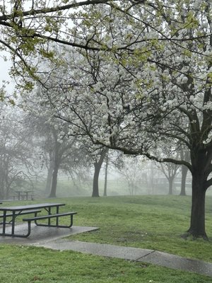 HOWE COMMUNITY PARK - Updated December 2025 - 126 Photos & 29 Reviews ...