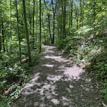 SAUNDERS SPRINGS NATURE PRESERVE - Updated December 2025 - 145 Photos ...