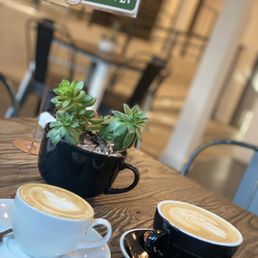 LA GELATTERIA - Updated September 2024 - 540 Photos & 217 Reviews ...