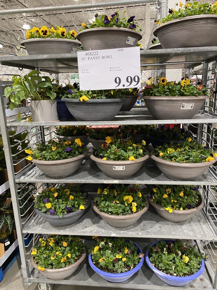 COSTCO - Updated August 2024 - 228 Photos & 235 Reviews - 1430 S ...