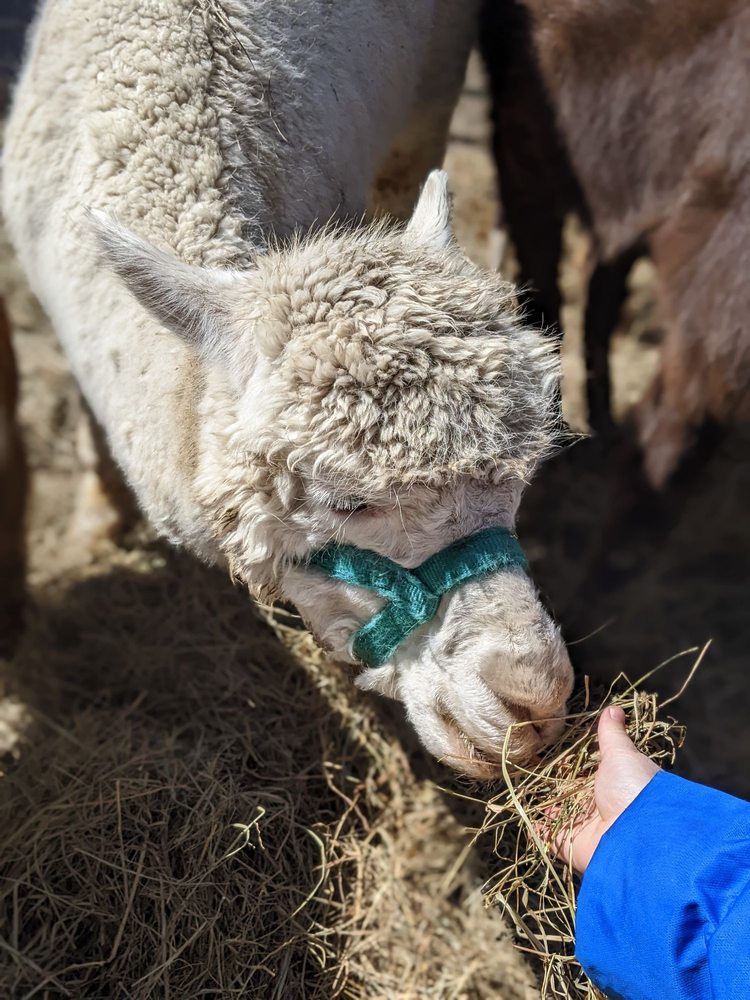 WOLF MAPLE PRODUCTS FARM - Updated December 2025 - 20 Photos - 9355 ...