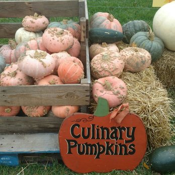 EXPLORATION ACRES - Updated May 2025 - 65 Photos & 33 Reviews - 6042 ...