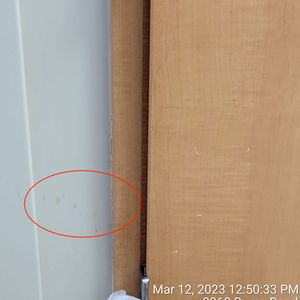 HSS FLORIDA - Updated May 2025 - 20 Photos & 17 Reviews - 300 Palm ...