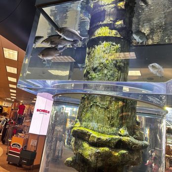 SCHEELS - Updated January 2025 - 1124 Photos & 624 Reviews - 1200 ...