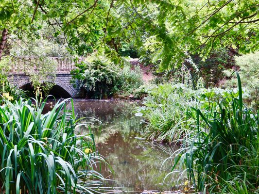 PECKHAM RYE PARK AND COMMON - 10 Reviews - homestall road, London ...