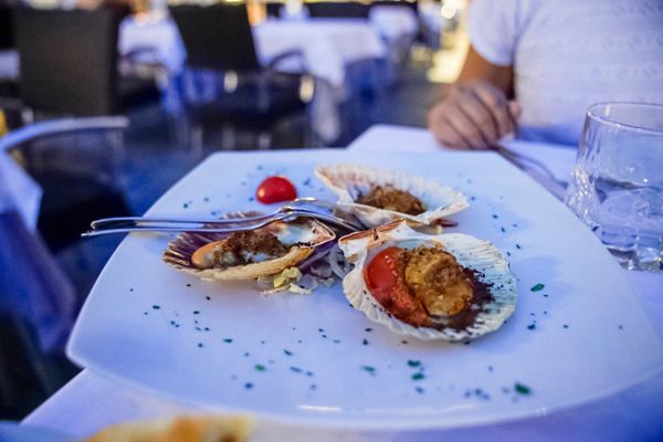 A BECCAFICO - Updated April 2025 - 110 Photos & 79 Reviews - Campo San ...