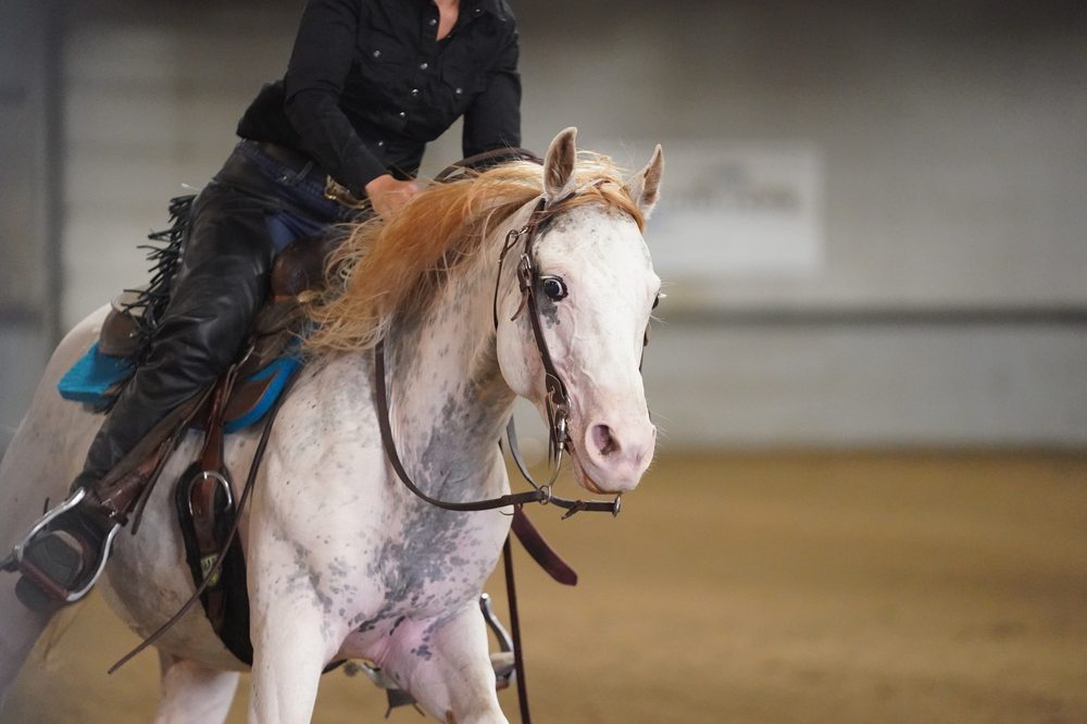 HYLEE TRAINING - 9550 Patterson Road E, Prince George, British Columbia ...