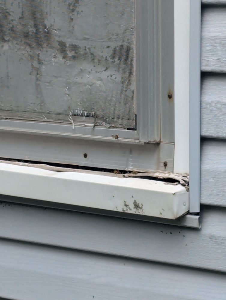 KIWF PEST CONTROL - Updated July 2025 - 24 Photos - Altoona, Iowa ...