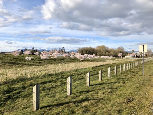 LARRY BERG FLIGHT PATH PARK - 33 Photos - Richmond, British Columbia ...