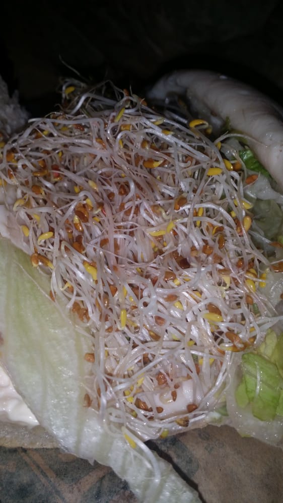 SILVER MINE SUBS - 14 Reviews - Sandwiches - 3820 W 10th St, Greeley ...