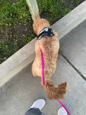 SWANSTON PARK - Updated December 2025 - 24 Photos & 36 Reviews - 2350 ...