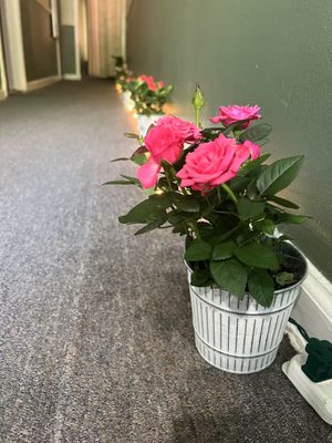 MOONLIGHT SPA - Updated October 2025 - 98 Photos & 132 Reviews - 722 ...