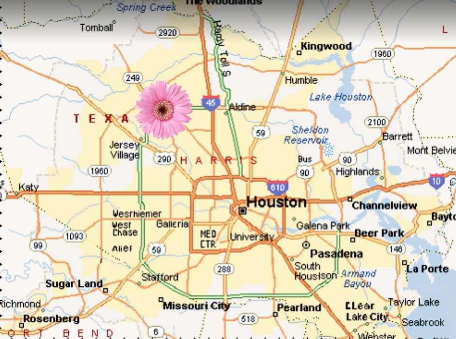 DAISY KIDS CARE - Updated October 2025 - 12 Photos - 17314 SH 249 ...