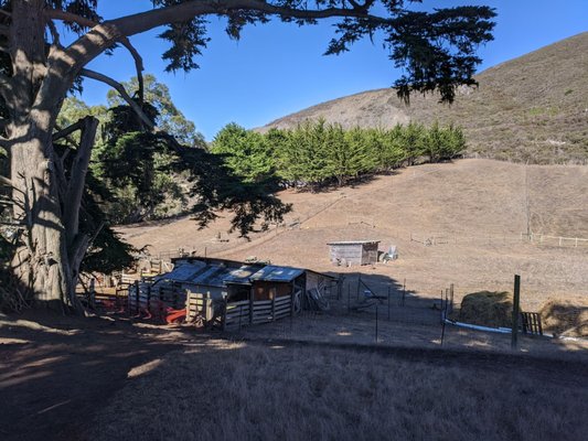 SLIDE RANCH - Updated June 2024 - 93 Photos & 31 Reviews - 2025 ...