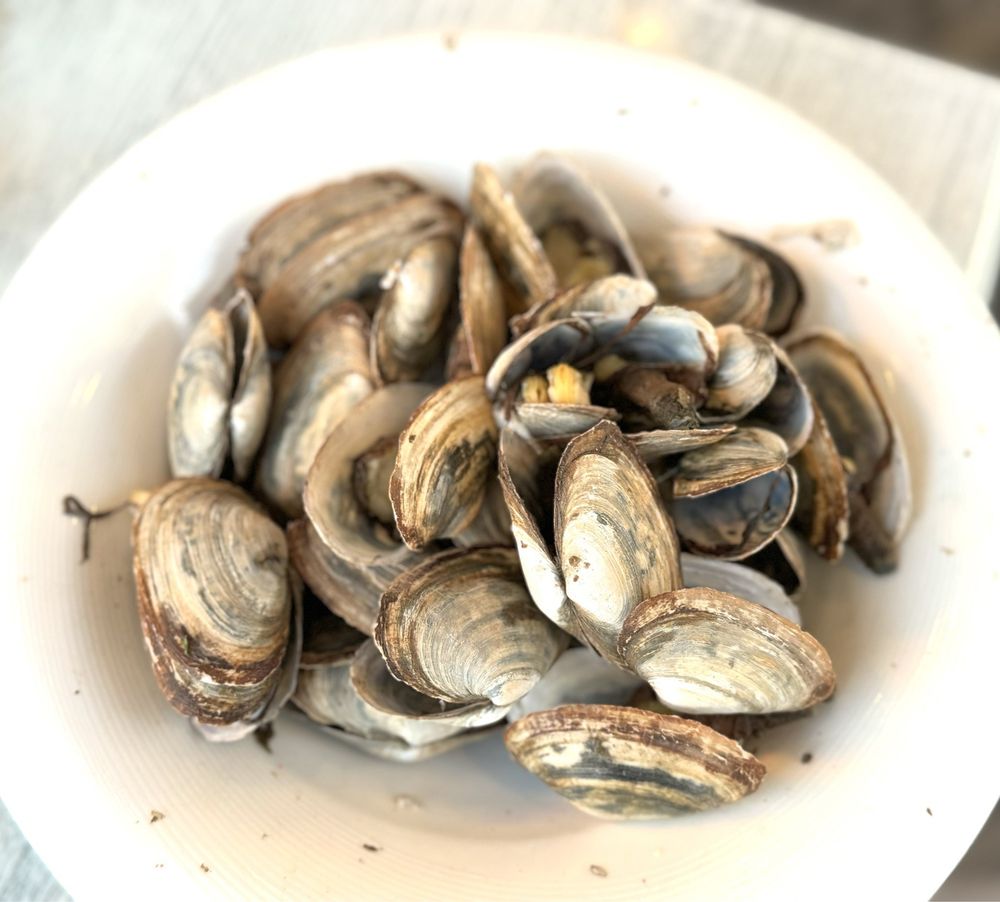 SEA KETCH RESTAURANT - Updated May 2025 - 340 Photos & 432 Reviews ...