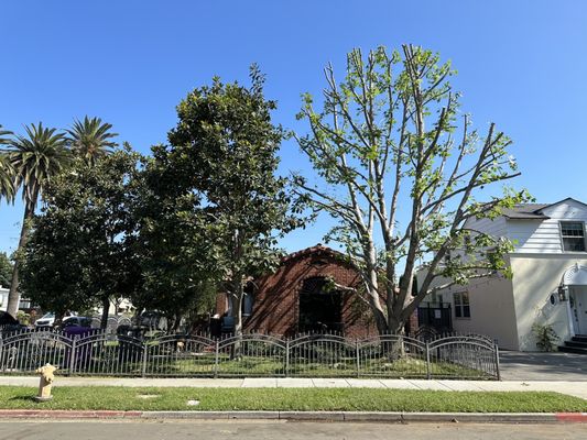 MARIO’S TREE SERVICE & STUMP GRINDING - Updated June 2026 - 188 Photos ...