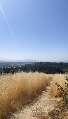 THE LOOP TRAIL - Updated June 2024 - 15 Photos - O'Melveny Park, Los ...