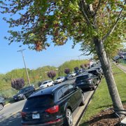 GERTENS - 67 Photos & 64 Reviews - 5500 Blaine Ave, Inver Grove Heights, Minnesota - Nurseries ...