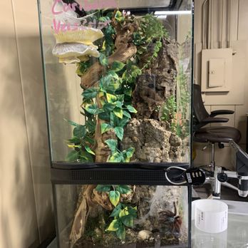 REPTILE RAPTURE - Updated January 2026 - 37 Photos & 23 Reviews - 6308 ...