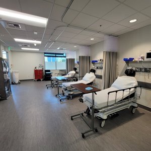 PACIFIC EYE - Updated August 2025 - 26 Photos & 75 Reviews - 3855 Broad ...