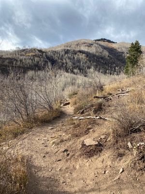 BOOTH LAKE TRAIL - Updated September 2024 - 25 Photos & 10 Reviews ...
